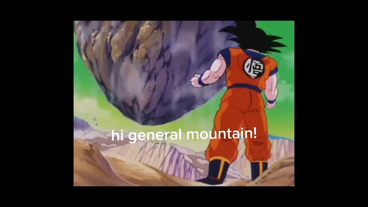 goku meets general mountain💀💀💀💀 credits to the abridged dbz creator ...