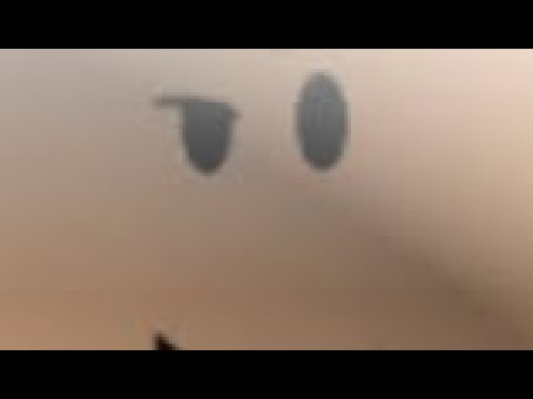 Boss Boy getting roasted by the daycare kids for 2 minutes # ...