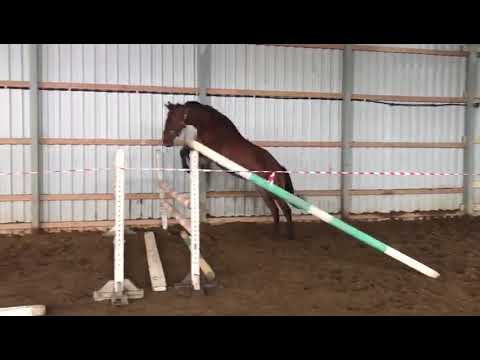 For Class QH 2018гр