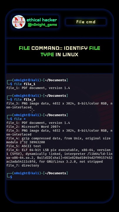 File Command In Linux Ctf Linux Linuxcommands Nonightgams Linuxtutorial File Linuxshorts