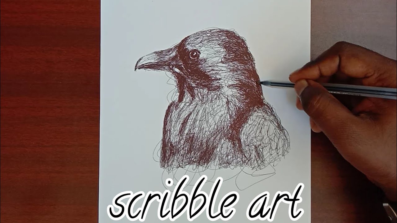 Scribble drawing | Crow art with pen - YouTube
