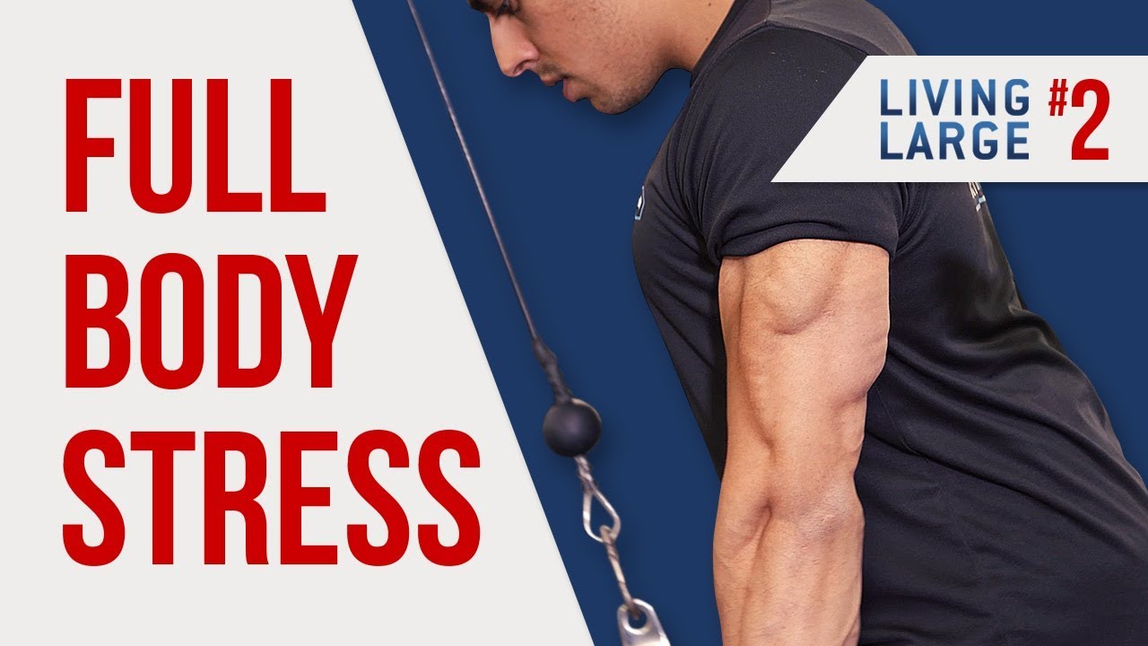 A Simple WORKOUT ROUTINE for Serious Mass Gain (HUGE PUMP!) - YouTube