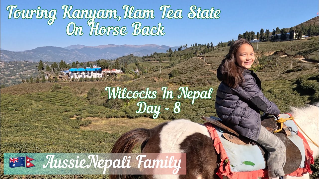 Touring Kanyam, Ilam Tea State On Horse Back || Day - 8|| Aussie-Nepali ...