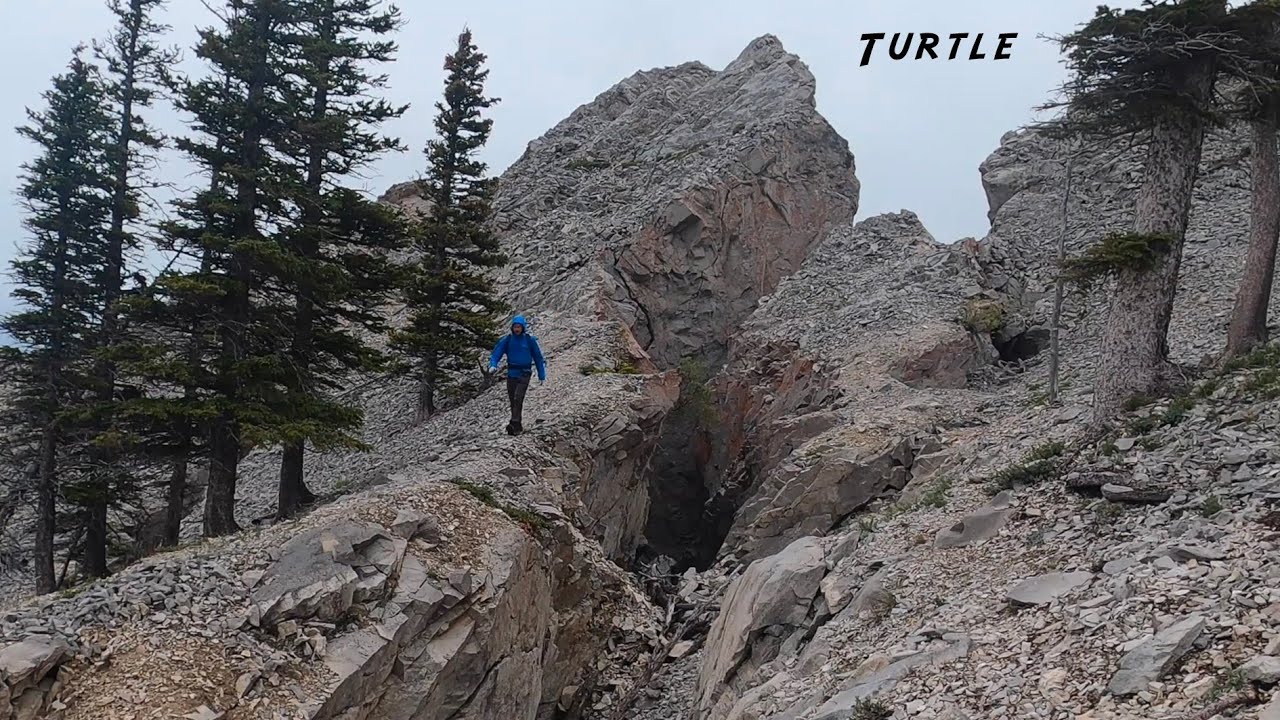 Turtle Mountain Frank Slide (Alberta) - YouTube