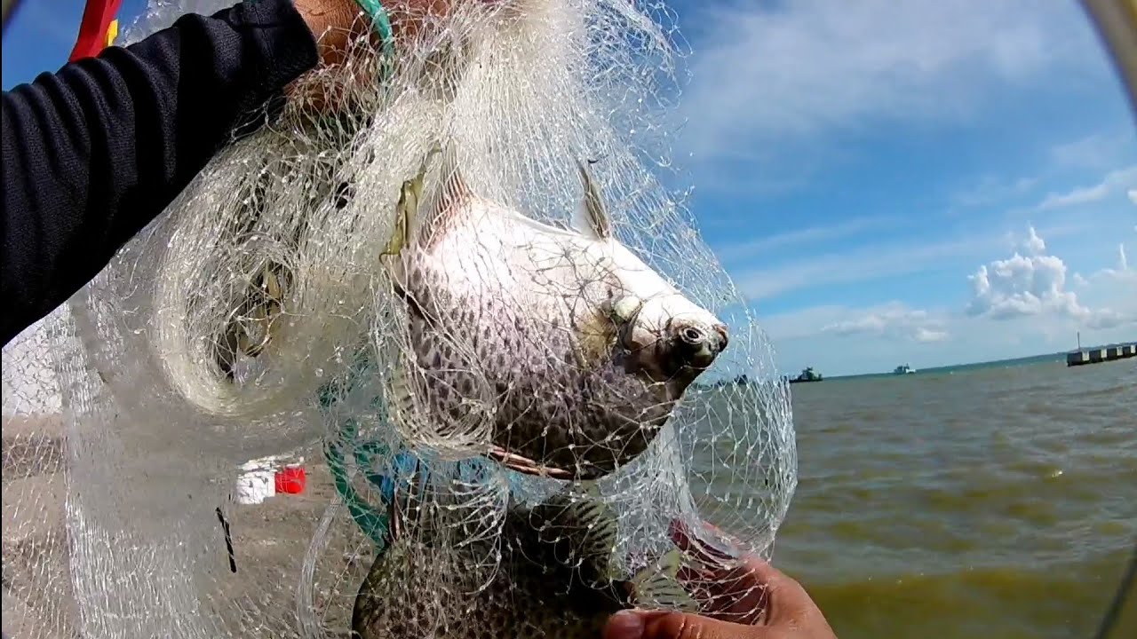 Menjala #05 Menjala ikan di tepi laut tawau + kayak fishing (american ...