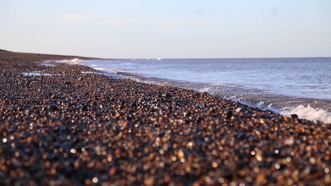 Pebble Shoreline Videvo - YouTube