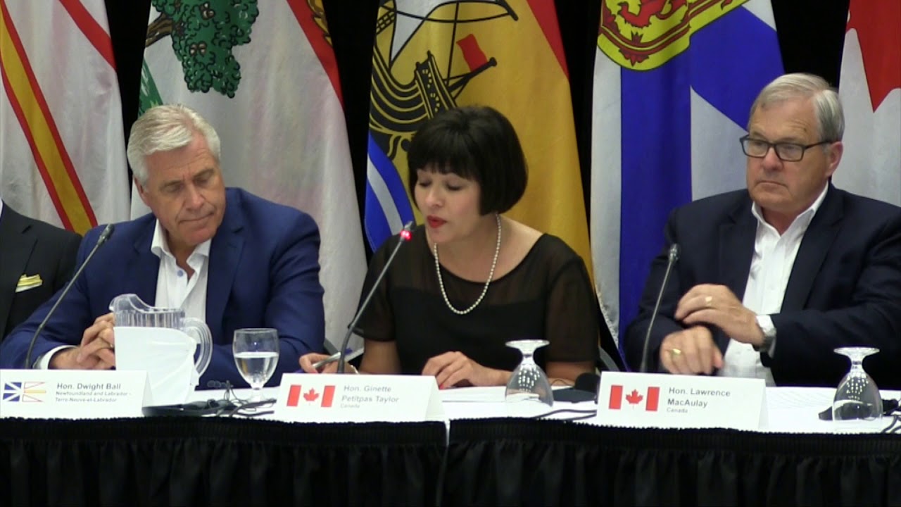 The Honourable Ginette Petitpas Taylor announces new digital health ...