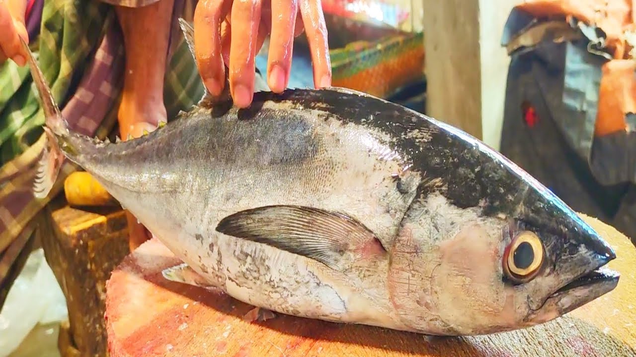 Yellowfin Tuna Cutting by a Minutel Fast and Skilled Tuna Fish Fillet ...