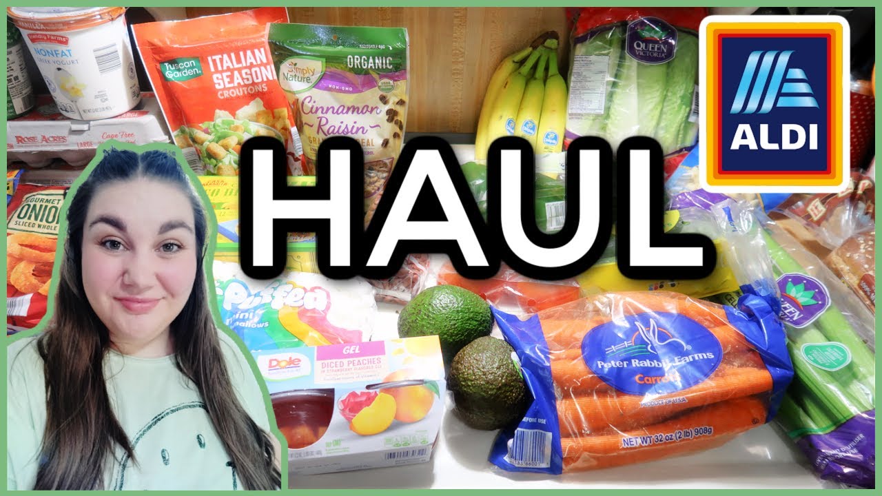 ALDI HAUL | 1-Week Grocery Haul & Meal Plan Under $100 | September 2022 ...