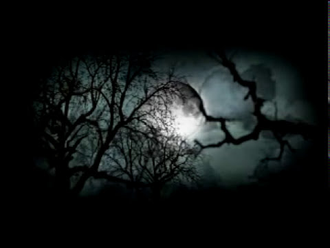 Halloween Spooky Video with Sound Effects - YouTube