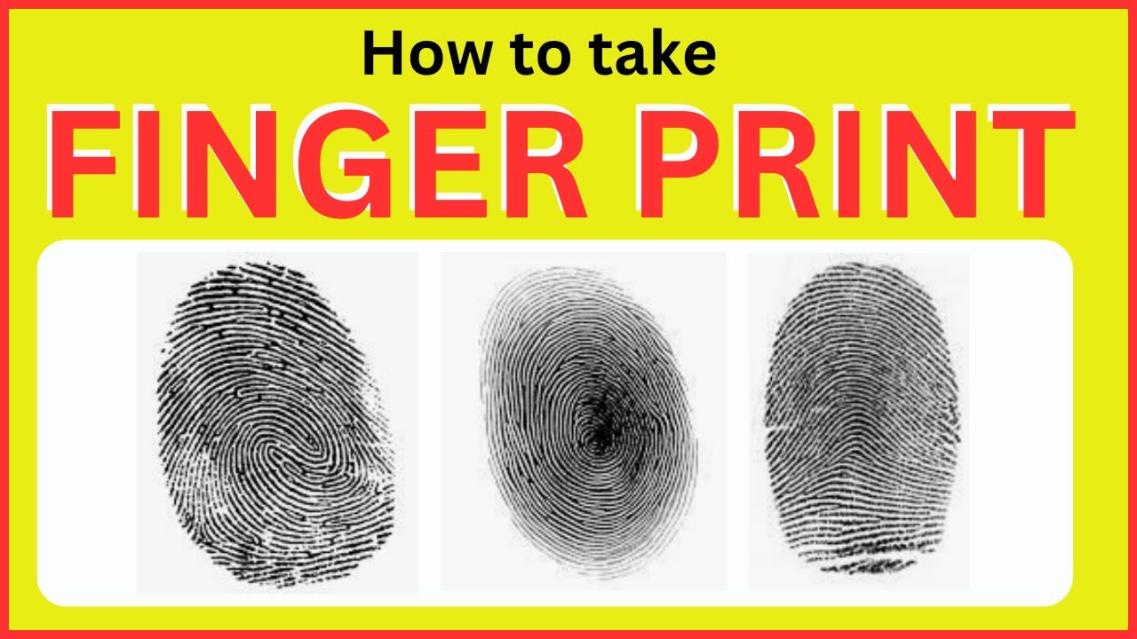 How to take Finger Prints | Learn Palmistry | Whorl | Loop| Arch ...