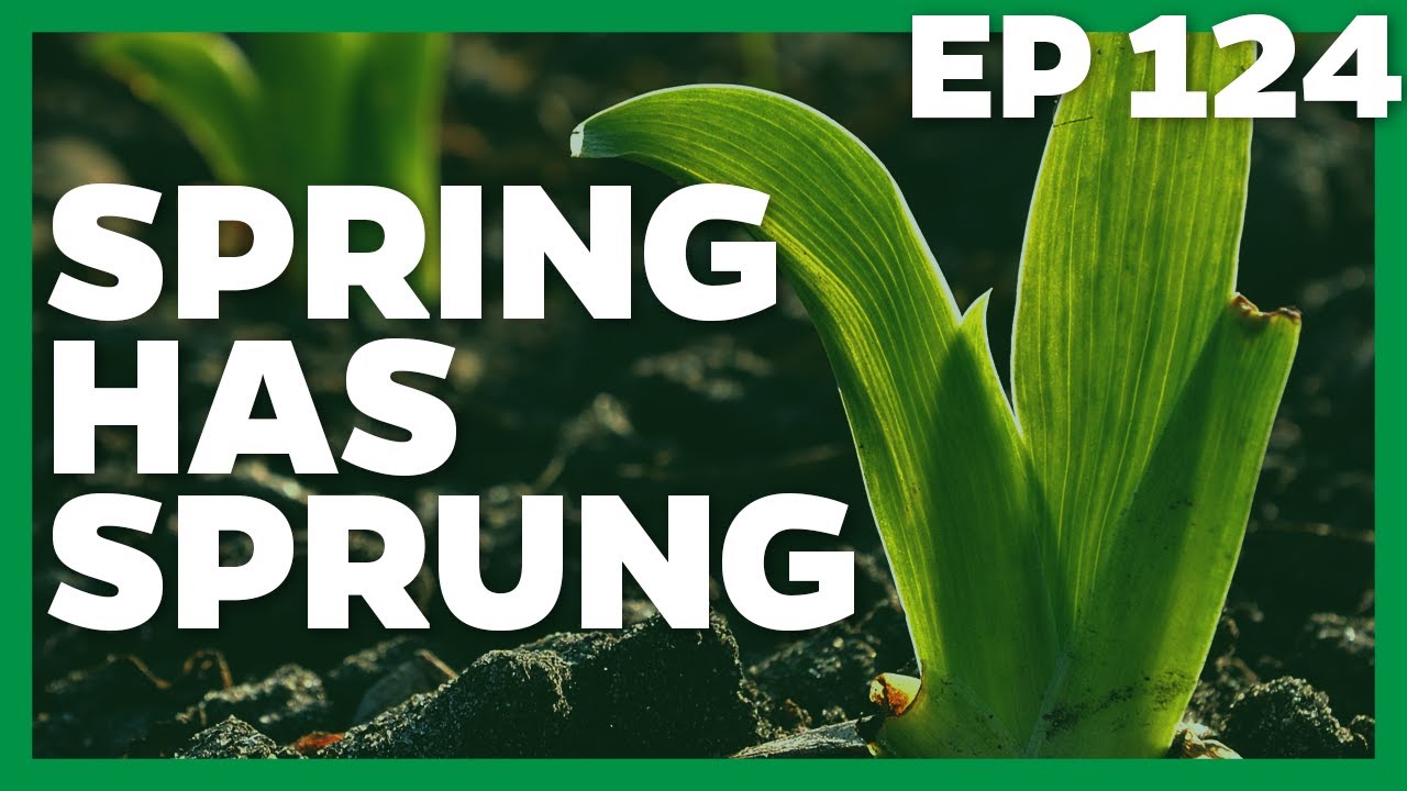 Spring Has Sprung - The Ottawa Real Estate Podcast Ep 124 - YouTube