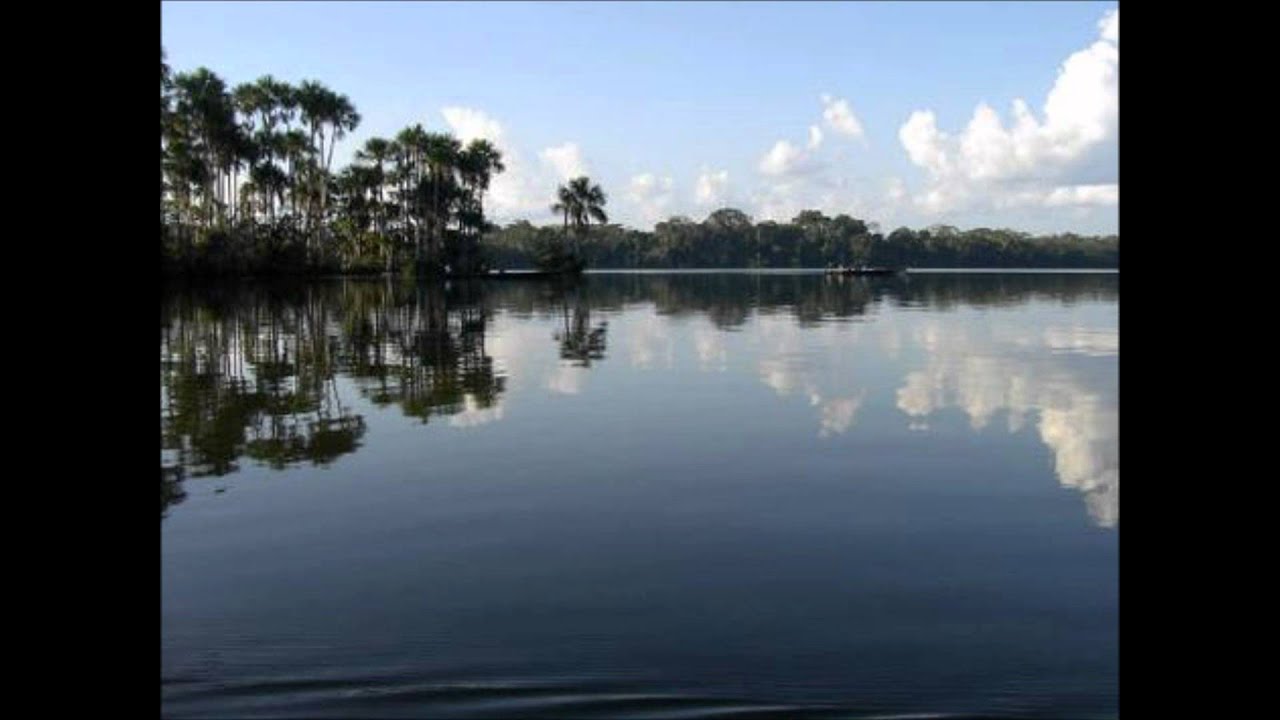 The bream song! - YouTube