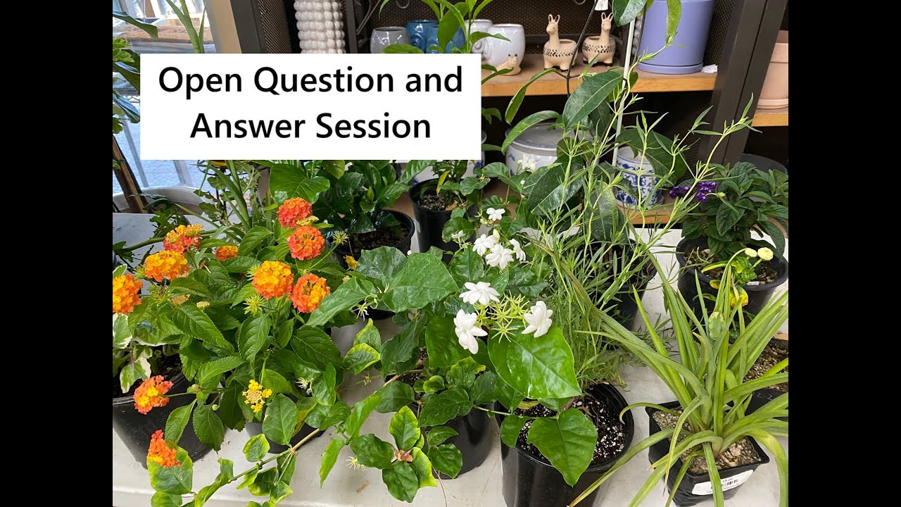 Open Question and Answer Session - YouTube