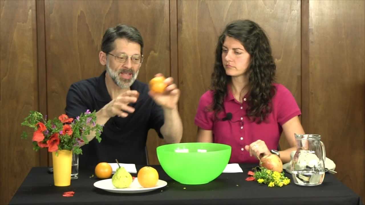 123 LearnIt -- Learn English -- Lesson 3 "Put and Take" - YouTube