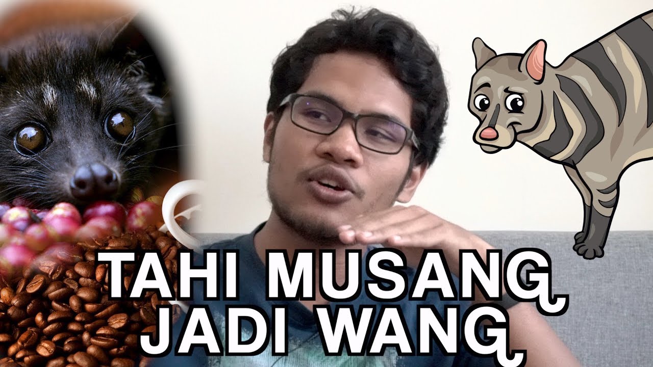 Tahi Musang Jadi Wang - YouTube