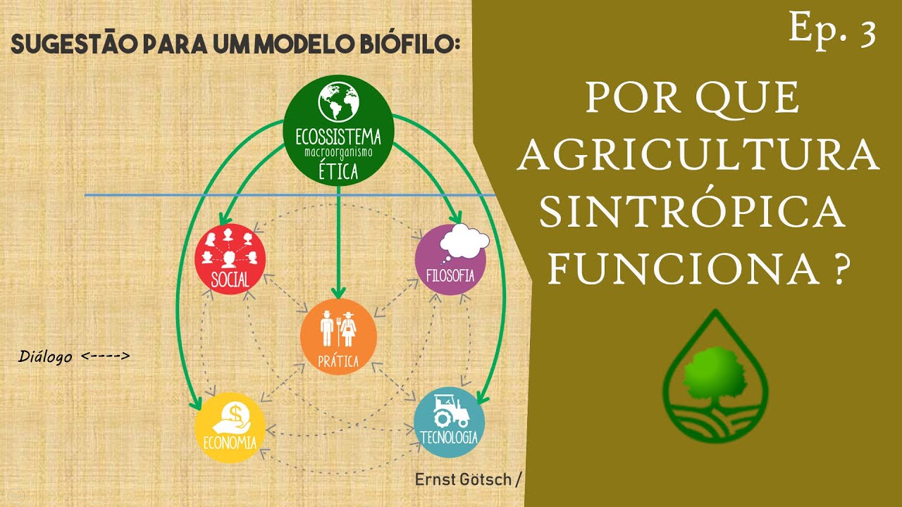 Episódio 3 - Por que a Agricultura Sintrópica funciona ? - YouTube