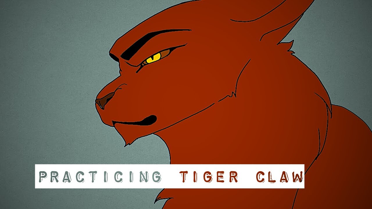 Warrior cats Animation (Tiger claw practice animation) - YouTube