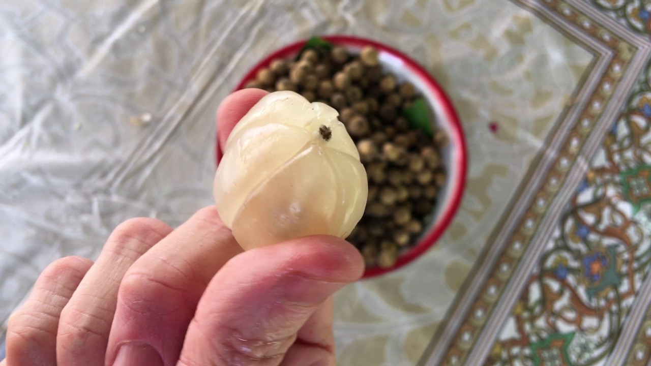 Kuala Lumpur - "Duku Fruit" or Langsat? - YouTube
