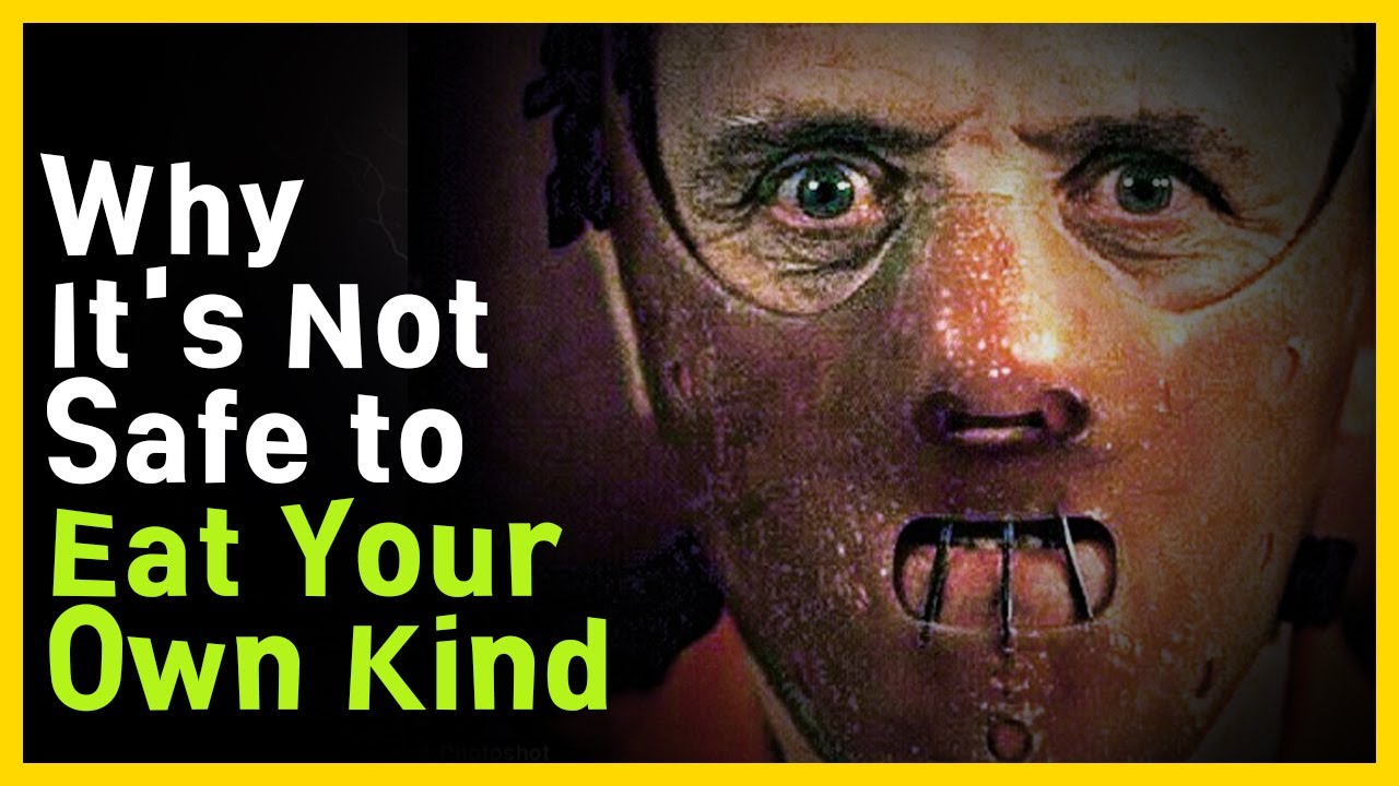 The Hazards of Human Cannibalism: Understanding the Differences from ...