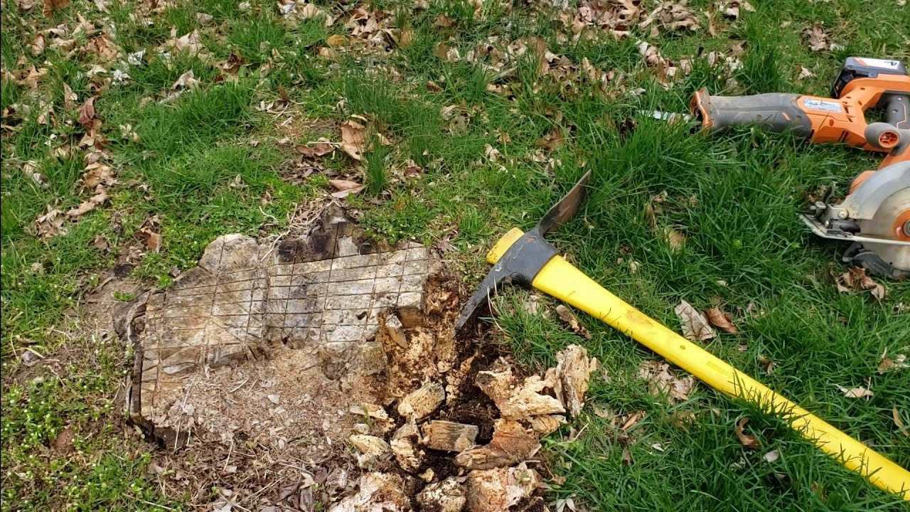 How to Remove a Tree Stump with Power Tools and Hand Tools DIY - YouTube