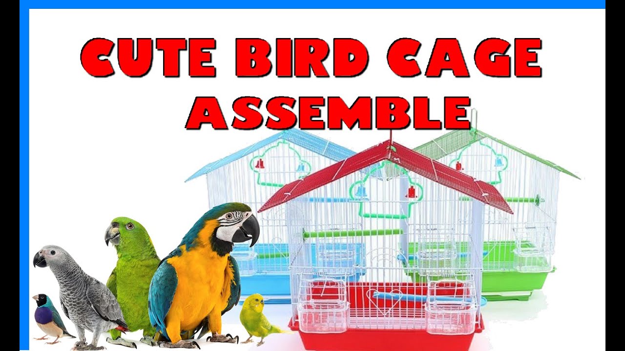 How to assemble small bird cage - YouTube