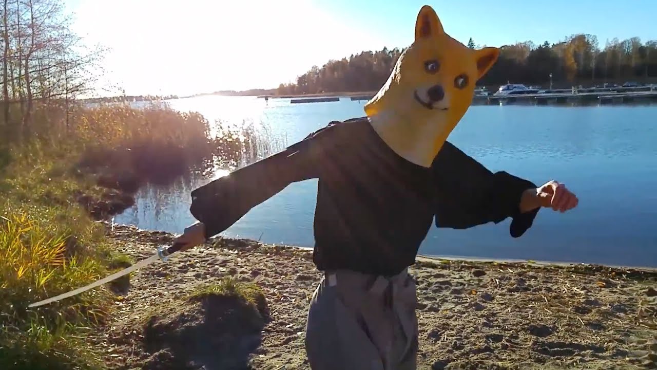 Day in a life of Samurai Doge (侍 vlog) - YouTube