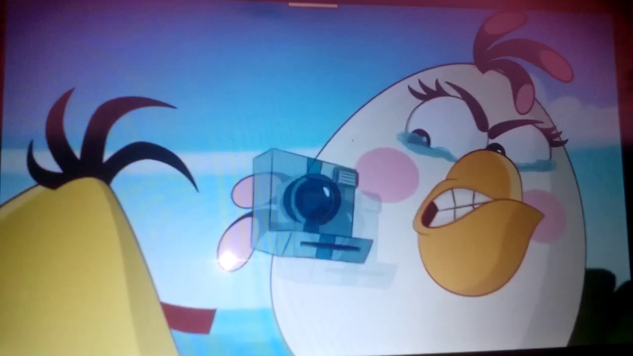 Angry birds Photo Chucked - YouTube