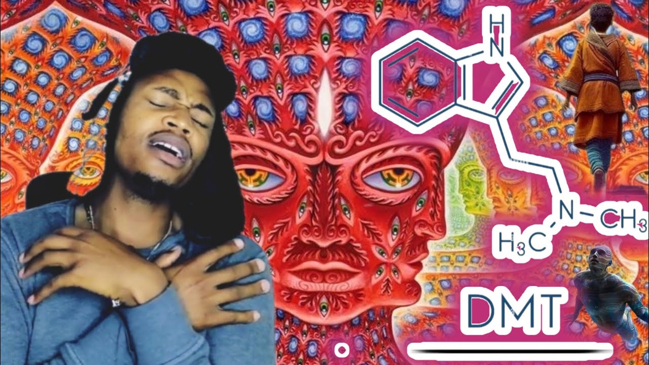 My First DMT Experience|Psychedelics|Other Realms|Meeting DMT Entities ...