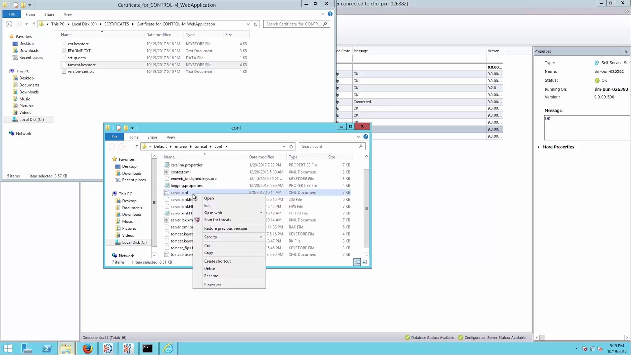 Habilitar comunicación SSL entre el Servidor Web y Control-M Self ...