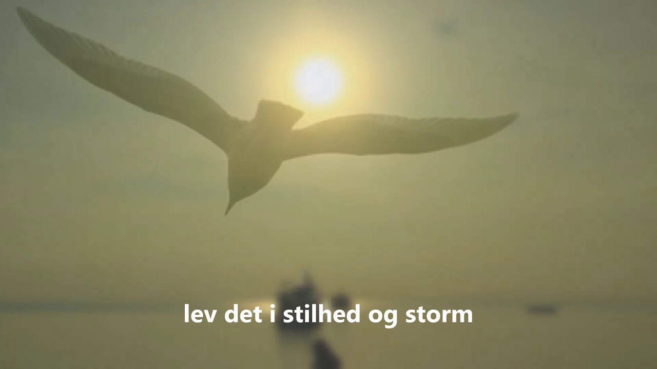 Fuglene letter mod vinden med ElsborgMaribo - YouTube