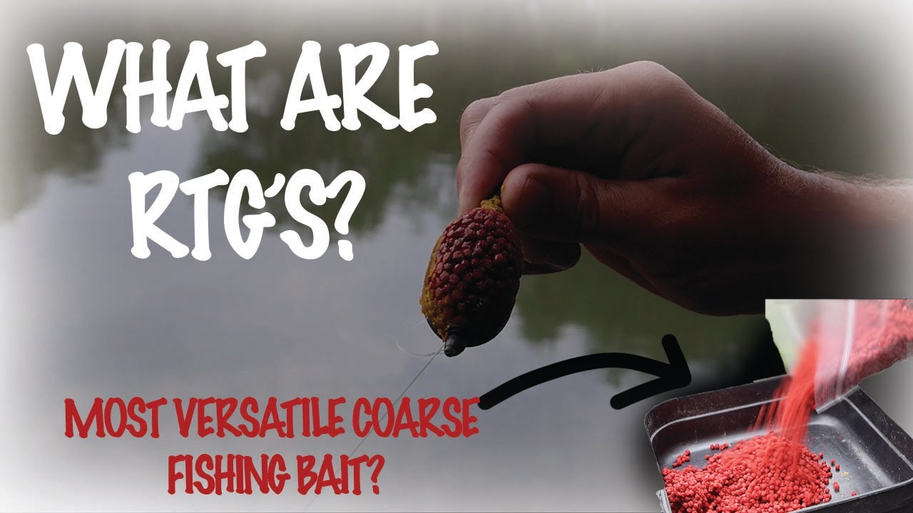 So Simple Baits RTG range ....? - YouTube