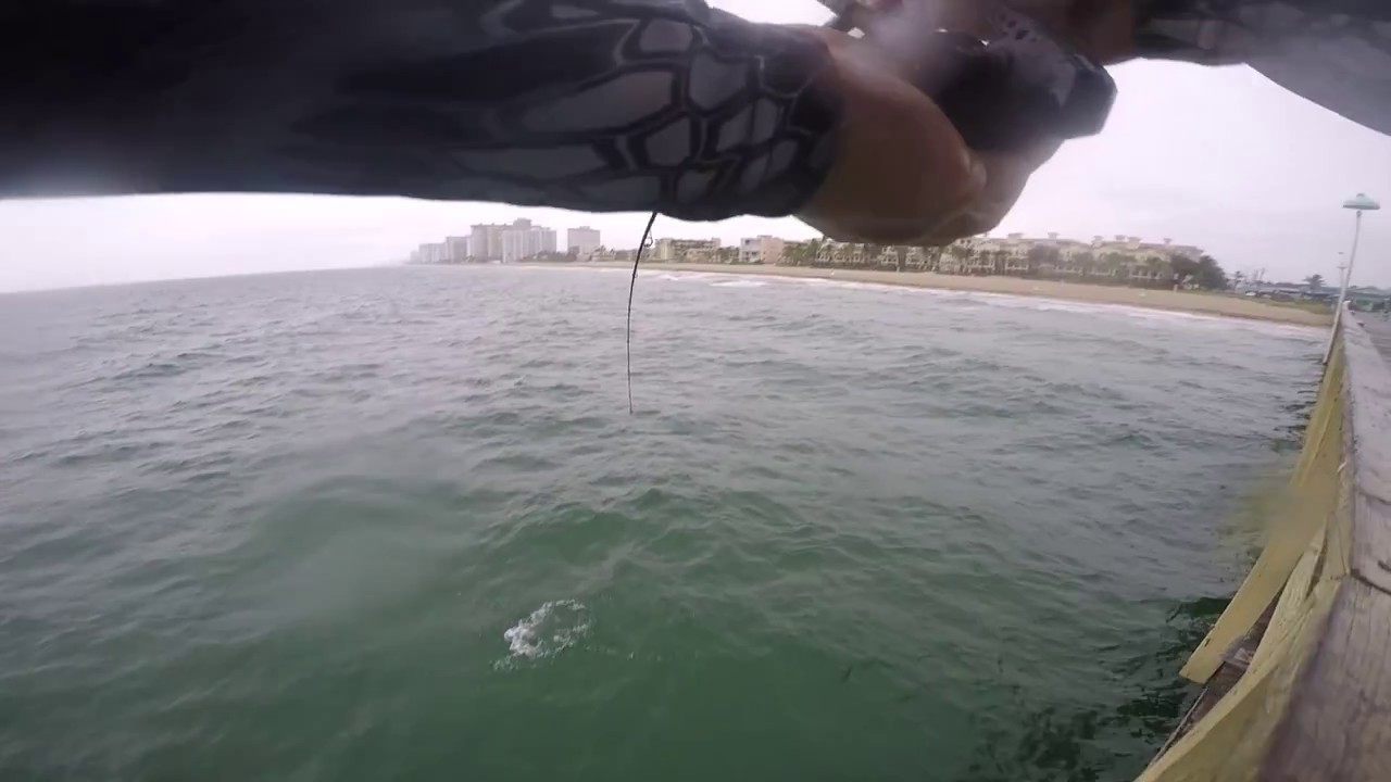 Bonito Fishing Anglins Fishing Pier Ft.Lauderdale 08/20/2017 - YouTube