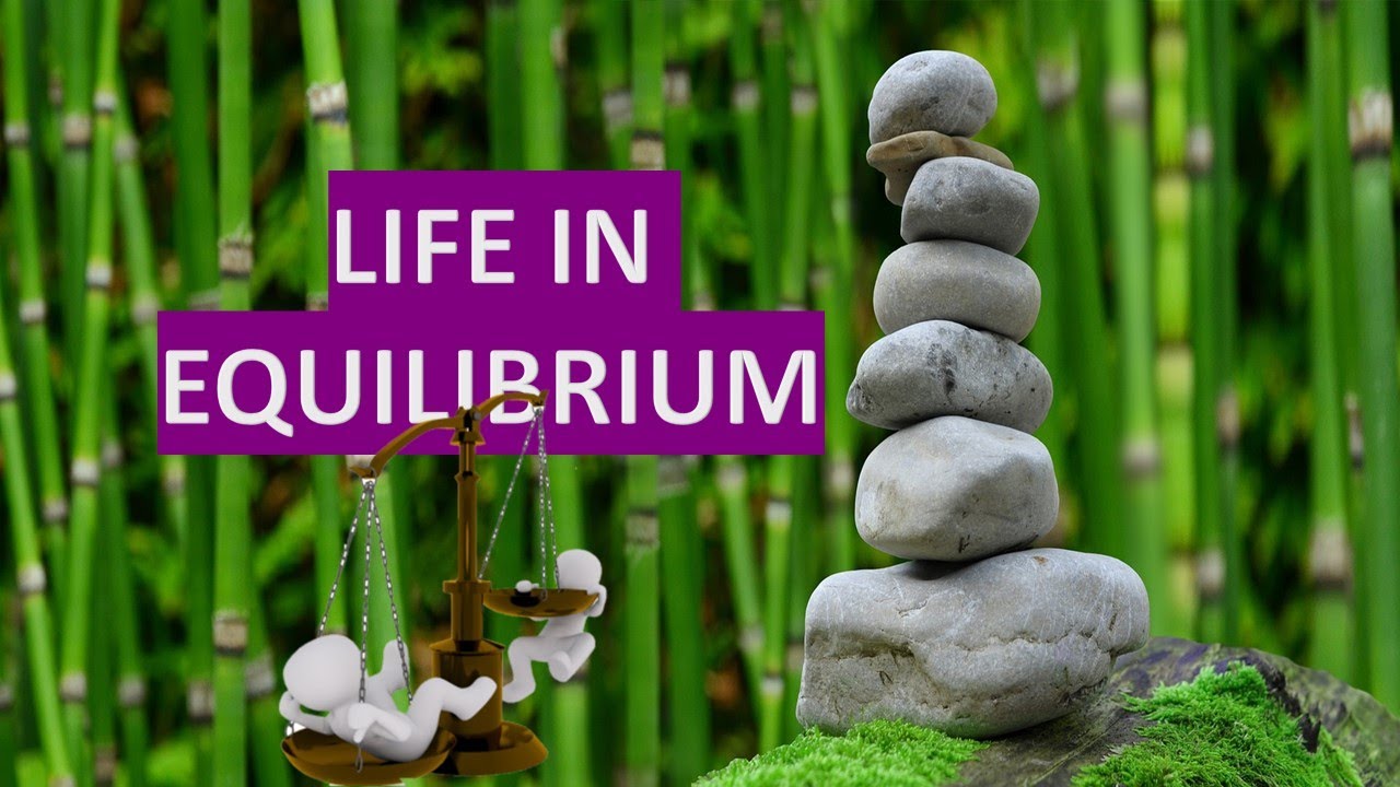 Life In Equilibrium...Maintaining a balance in all aspects of life ...
