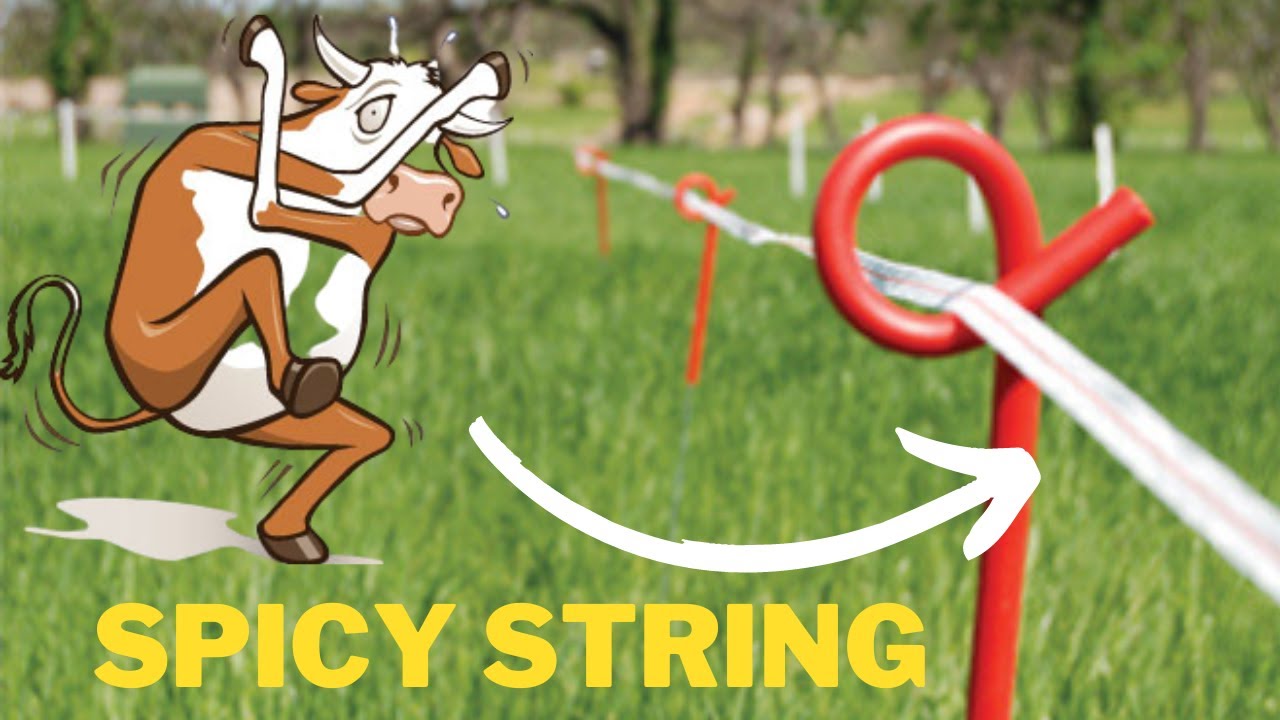 How I Move 24,000KG of BEEF with a PIECE of STRING!! - YouTube