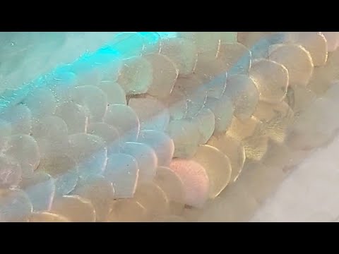 Mermaid real transformation bathroom - YouTube