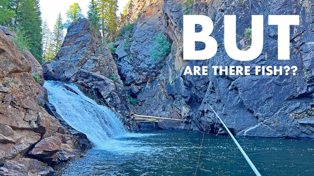 Fishing a Gorgeous Waterfall in Colorado! (Tenkara Fly Fishing) - YouTube