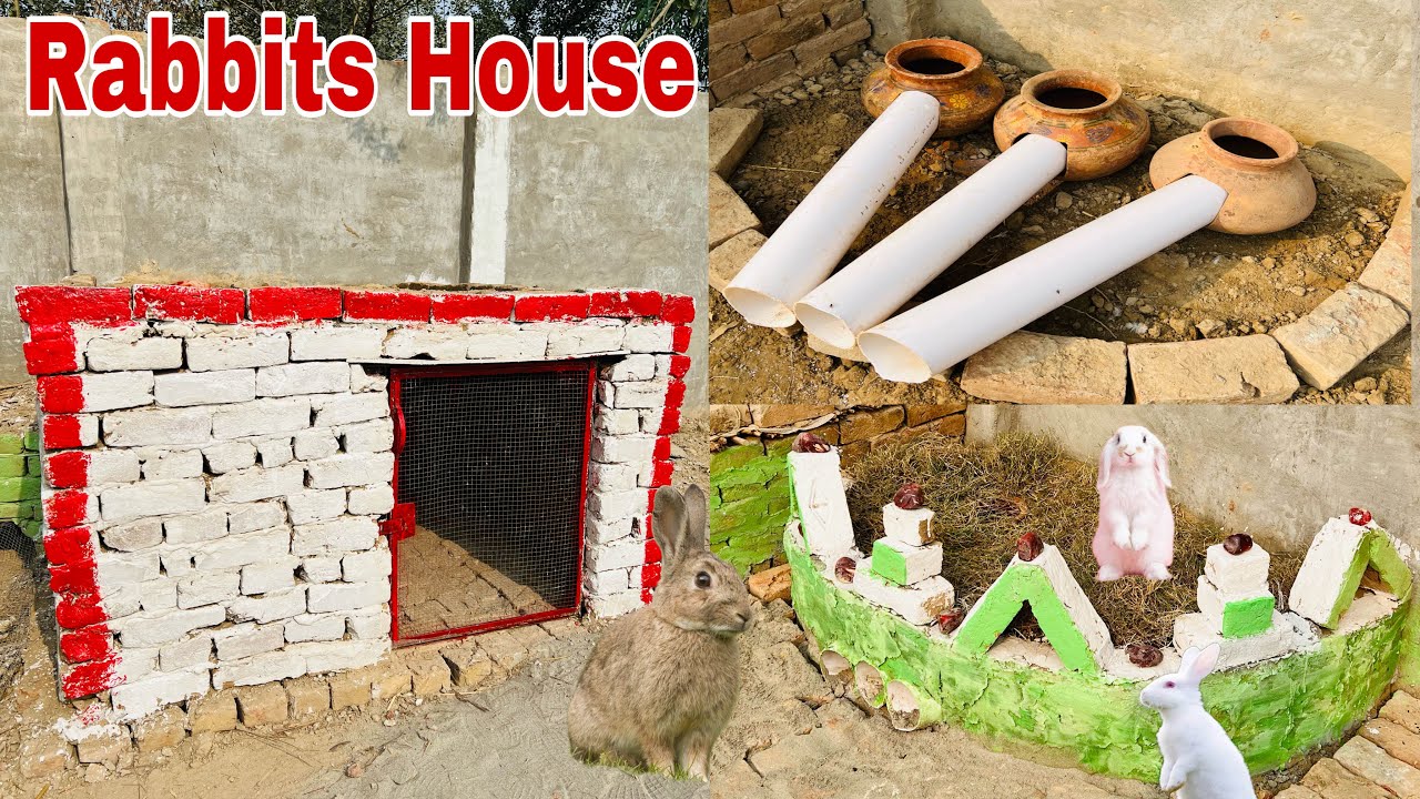 Rabbits House Unique Ideas | How To Make Rabbits House Using Bricks 🧱 ...