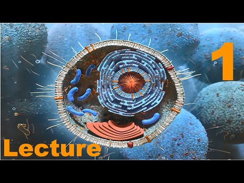 Biochemistry from Lehninger Lecture One: Cellular Foundation - YouTube