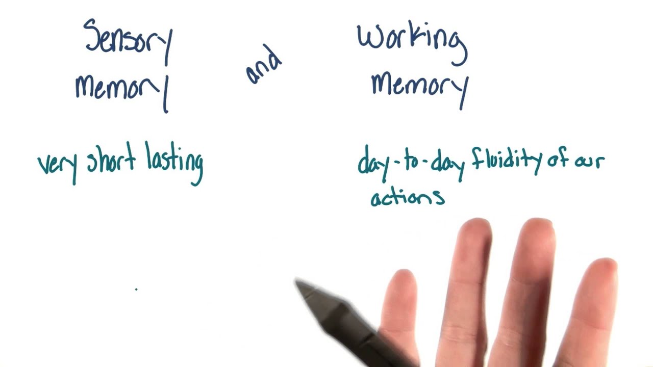 Introduction to long-term memory - Intro to Psychology - YouTube