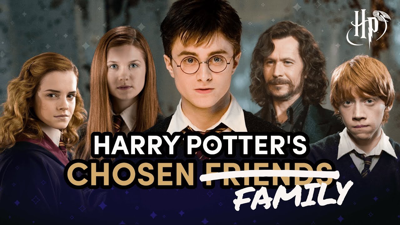 Harry Potter Chosen Families And Where To Find Them YouTube harry-potter-chosen-families-and-where-to-find-them-youtube