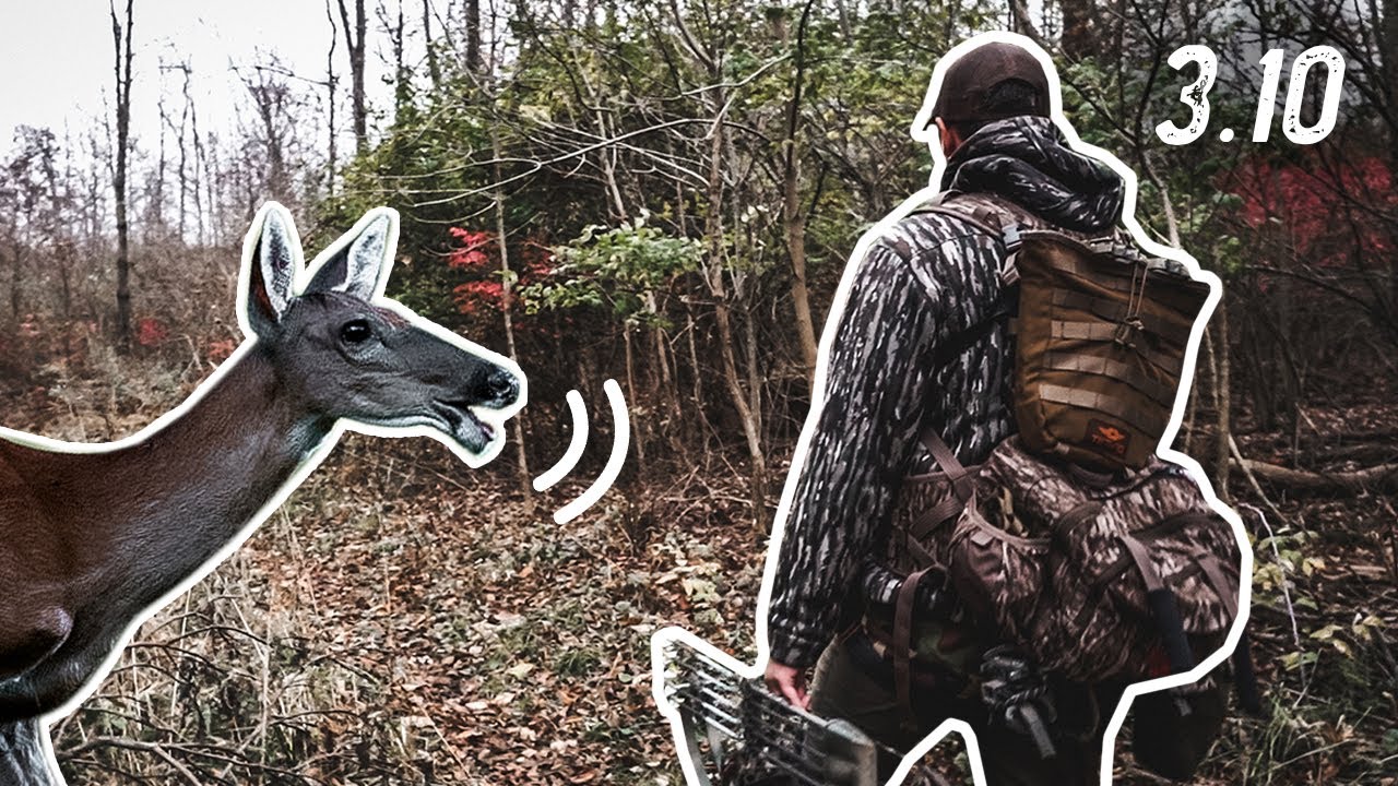 CRAZY DOE BLEATS!! - Bowhunting the Michigan RUT!! - YouTube