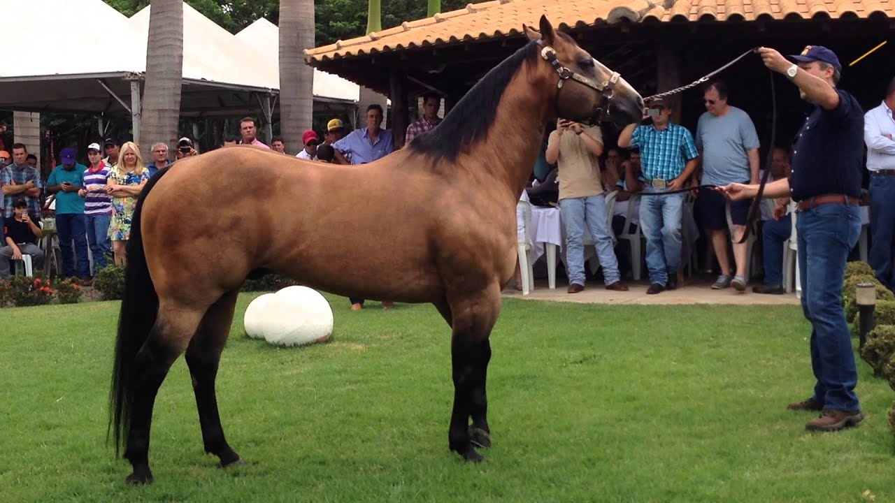 DUAL SPARK - YouTube