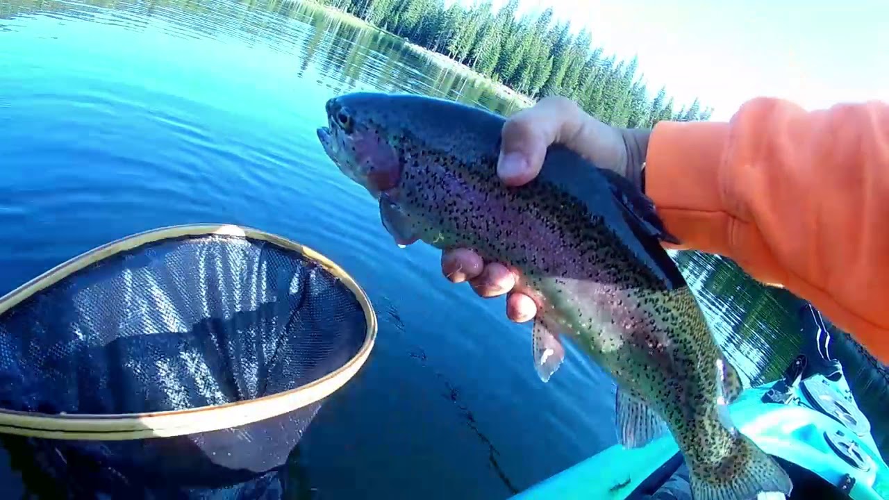 Insane Bottom Fishing for Trout (2018 Anthony Lake Triploid Fishing ...