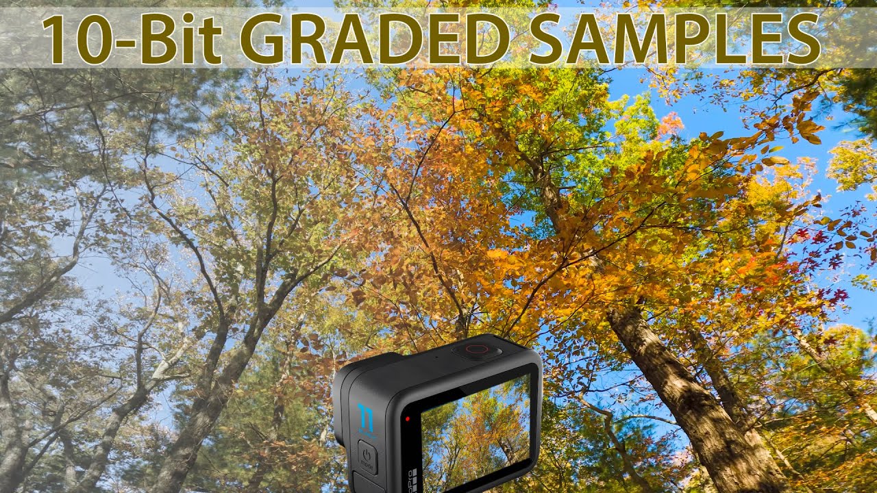 GoPro Hero 11 | SAMPLES of GRADED FLAT 10-Bit FOOTAGE - YouTube