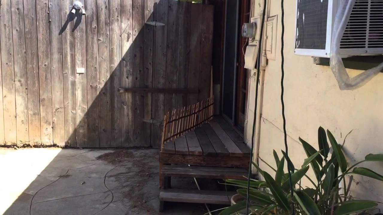 Wister house part 3 - YouTube