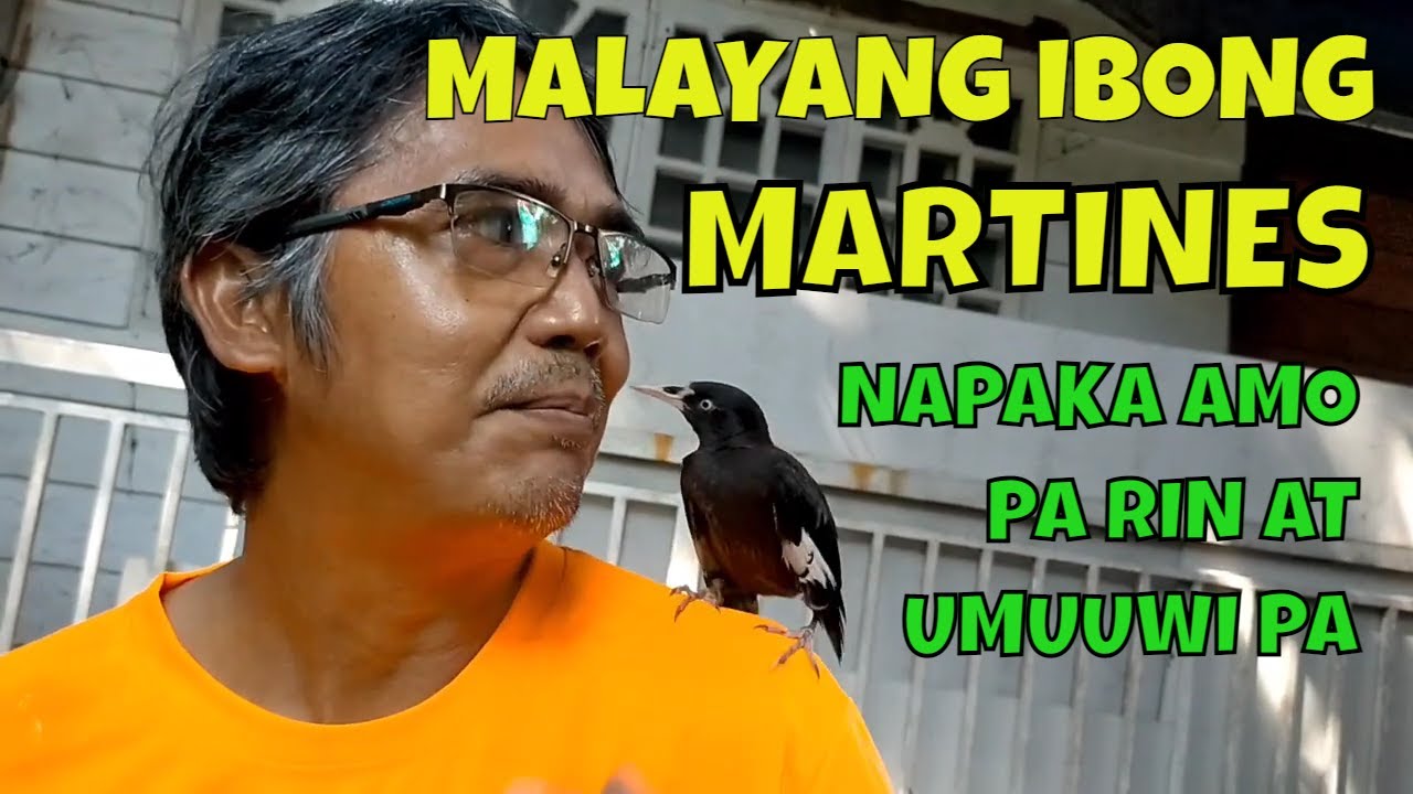 Playing with Martinez bird - YouTube