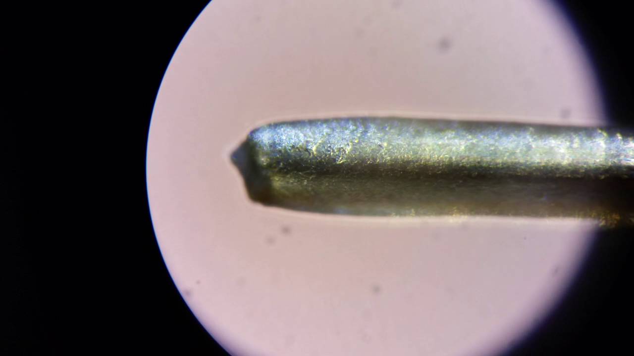 Dexcom CGM sensor details under the microscope - YouTube