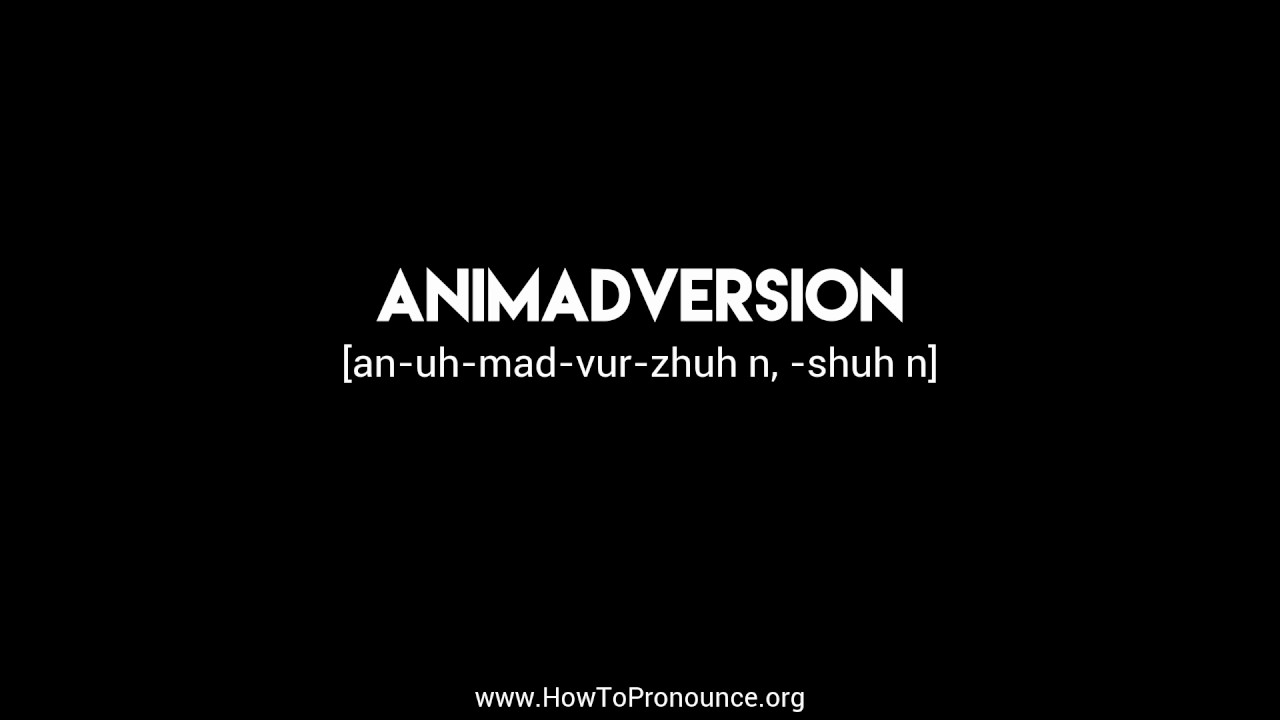 How to Pronounce "animadversion" - YouTube