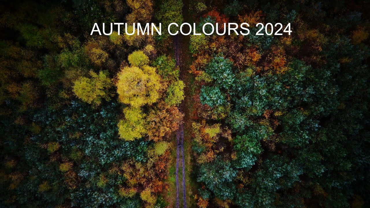 Autumn Colours 2024 - YouTube